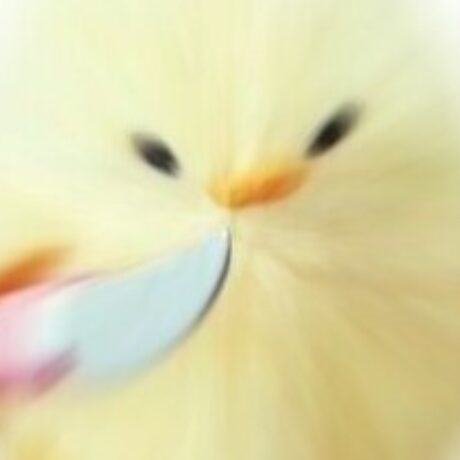 HTML/CSS All-in-one : 기초부터 Bootstrap, SASS, 고급 animation 까지 - 코딩애플 온라인 강좌